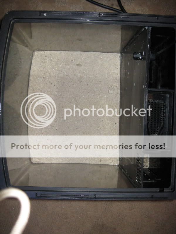 BioCube Size 14, 20 gallon w/light, 29 gallon w/light FOR SALE ...