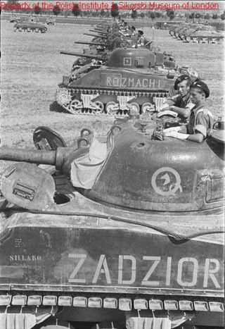 Allied WWII AFV Discussion Group: Polish Sherman Mk.1b.