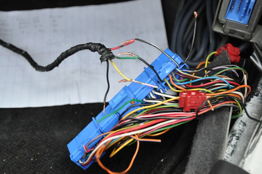 Bee R Rev Limiter Install Guide Tampa Racing