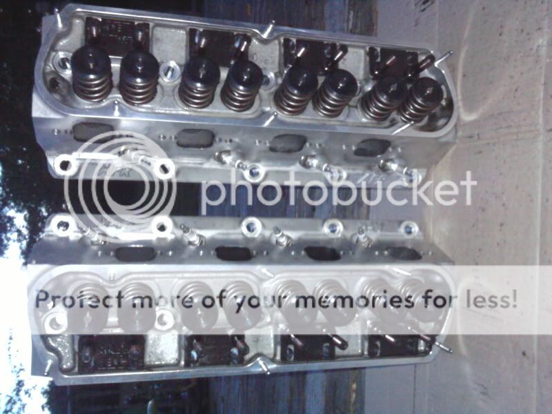 AFR 225 Outlaw Race heads (pn#1451) | Ford Mustang Forums