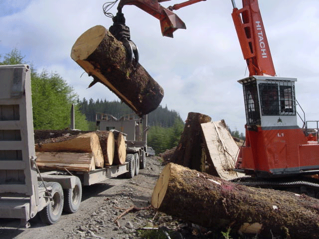 Mack CL350 ST logging truck | Page 10 | Heavy Equipment Forums