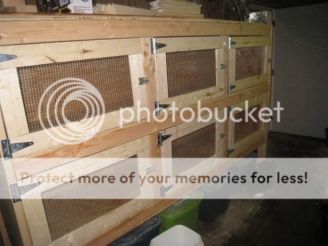 Double Brooder unit - How To plans | BackYard Chickens - Learn How to ...