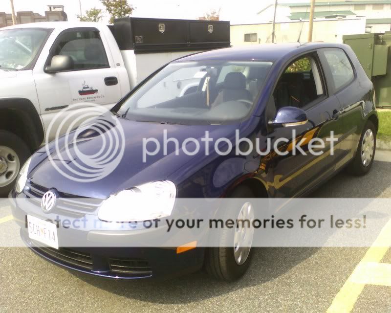 i love my rabbits | VW Vortex - Volkswagen Forum