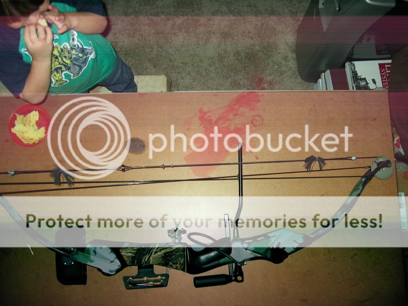 PSE Thunder-Flite Game Sport Compound Bow | Pensacola Fishing Forum