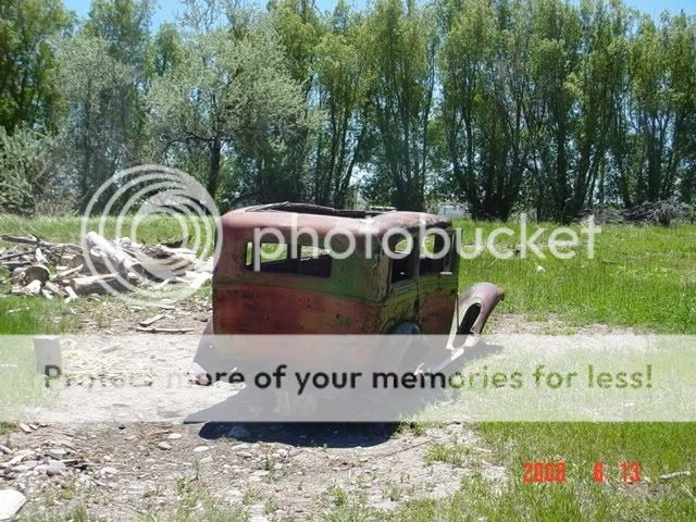 Can anyone I.D. this?? | The H.A.M.B.